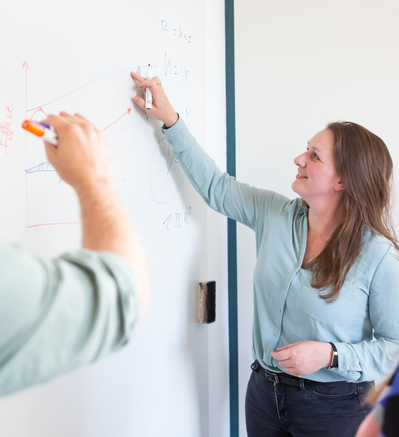 Project Management - Critical Minds