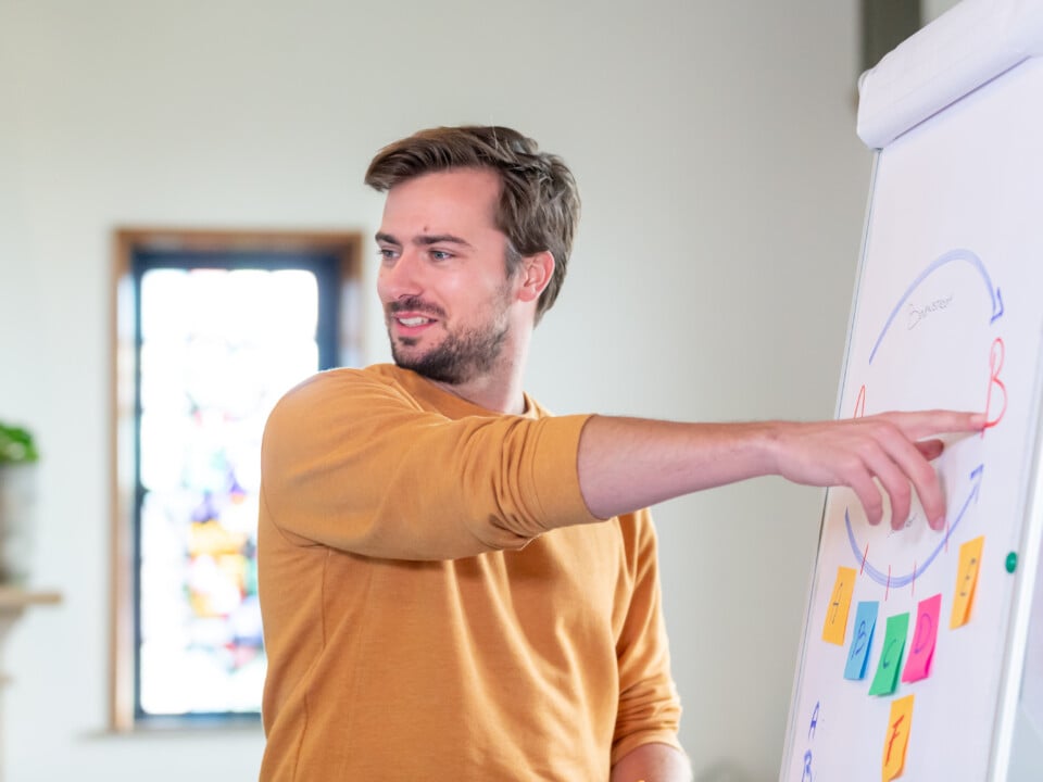 Project Management - Critical Minds