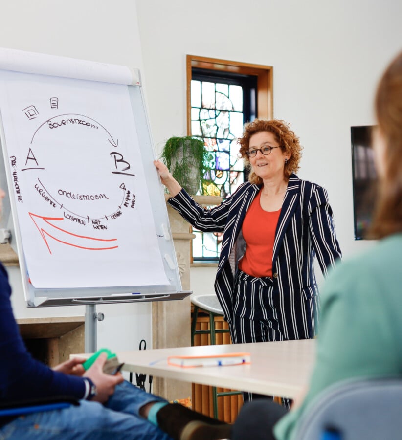 Verandermanagement - Critical Minds